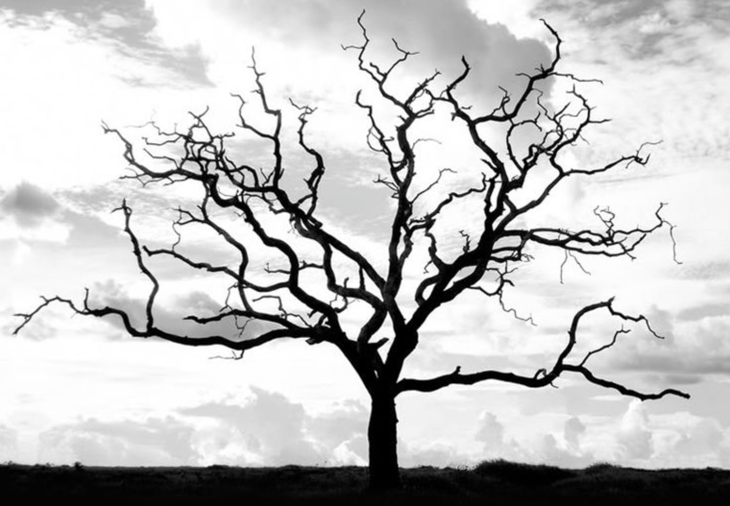 Jason Illian – Unconventional Musings on Tech, Faith, and Family